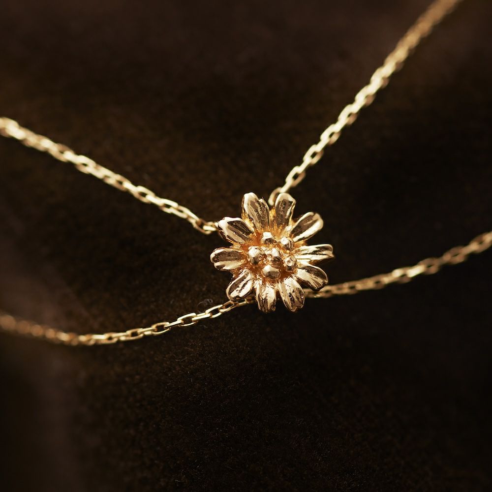 C A S U C A | CASUCA