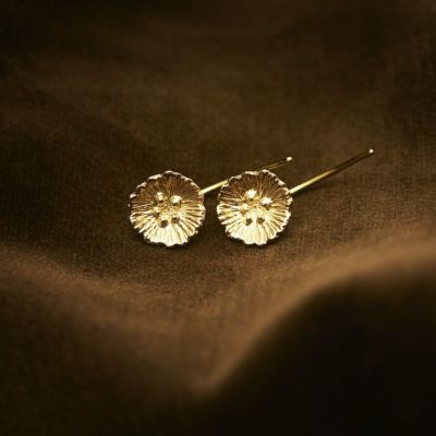 C A S U C A | CASUCA