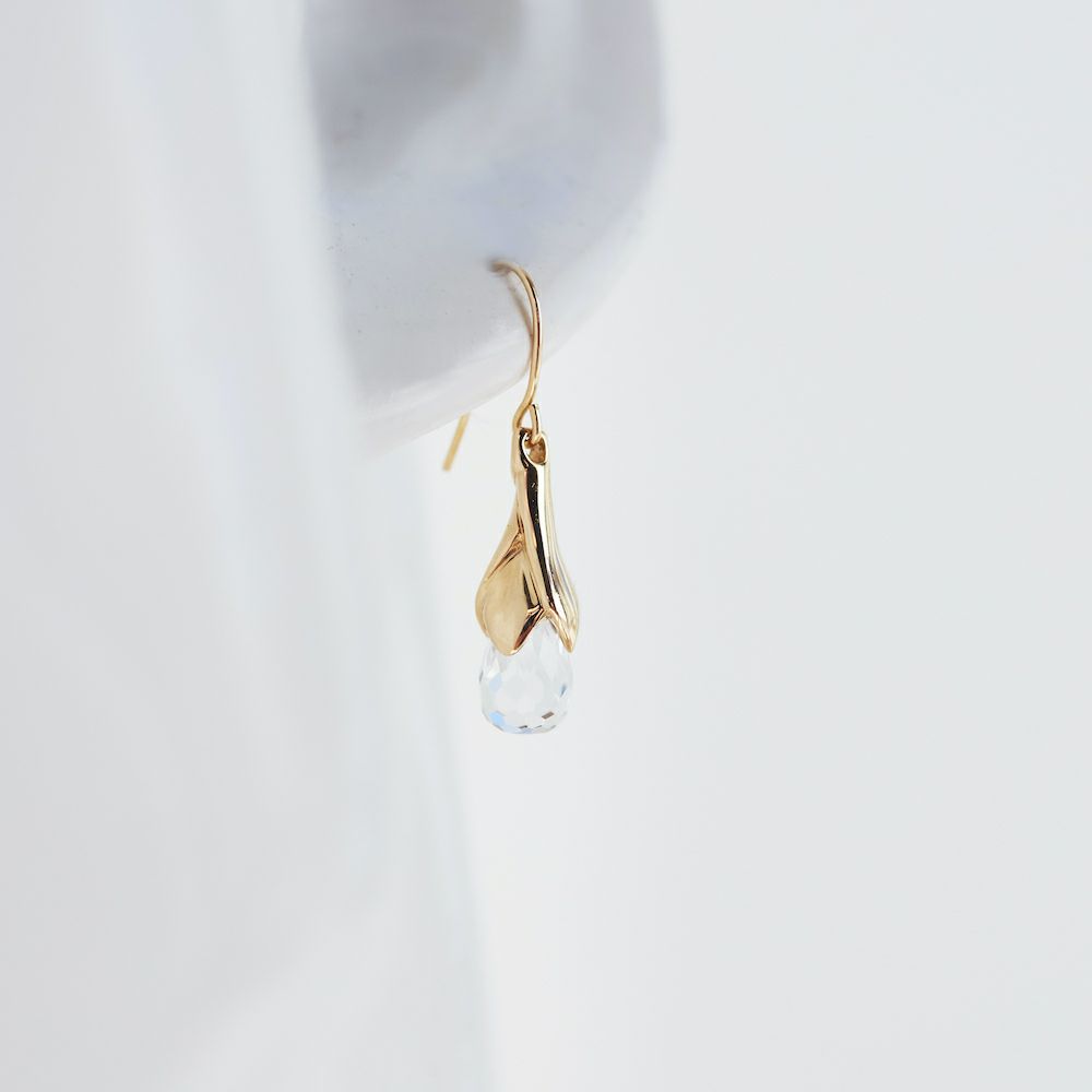 C A S U C A | CASUCA