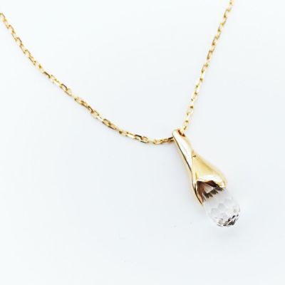 C A S U C A | CASUCA