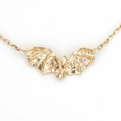 C A S U C A | CASUCA