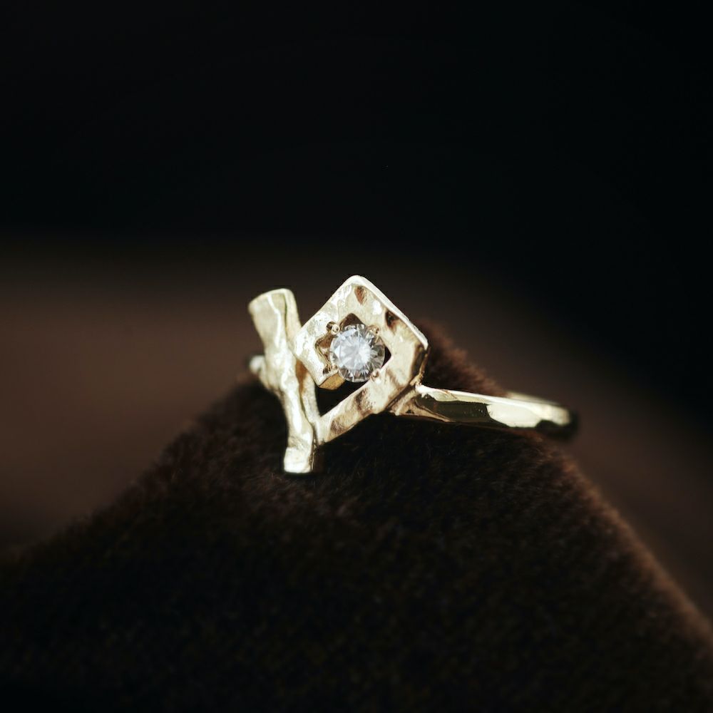 C A S U C A | CASUCA