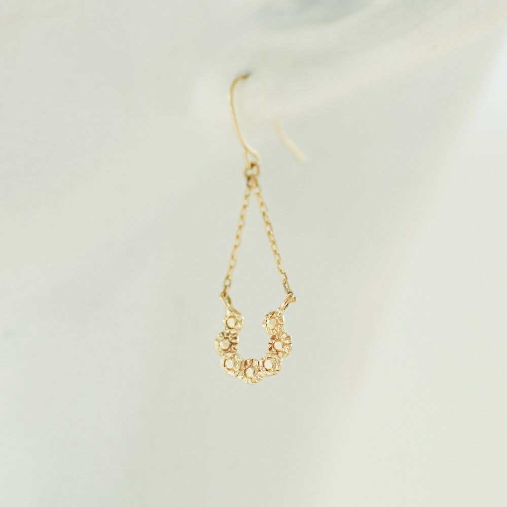 C A S U C A | CASUCA