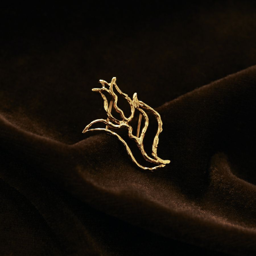 C A S U C A | CASUCA