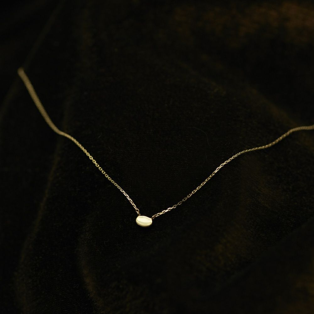 C A S U C A | CASUCA