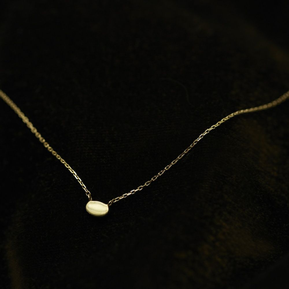 C A S U C A | CASUCA